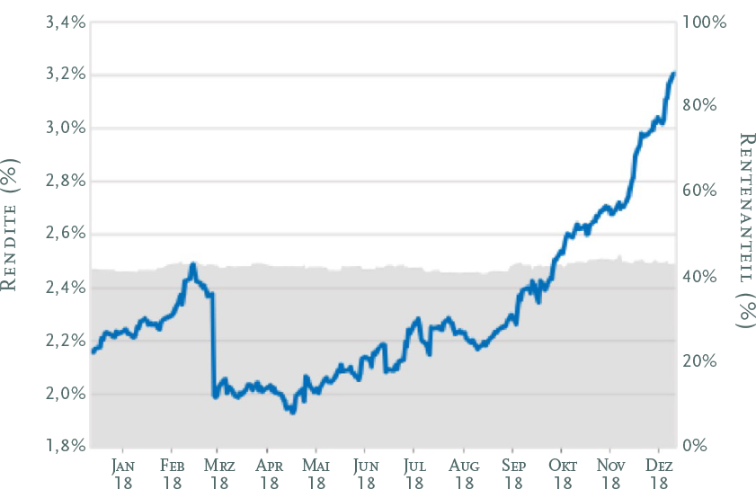 Marktkommentar Januar 2019 - Spiekermann & CO AG